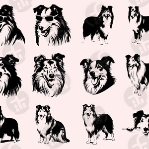 Rough Collie SVG Bundle - 96 Cut Files - Herding Dog - Lassie Dog ...