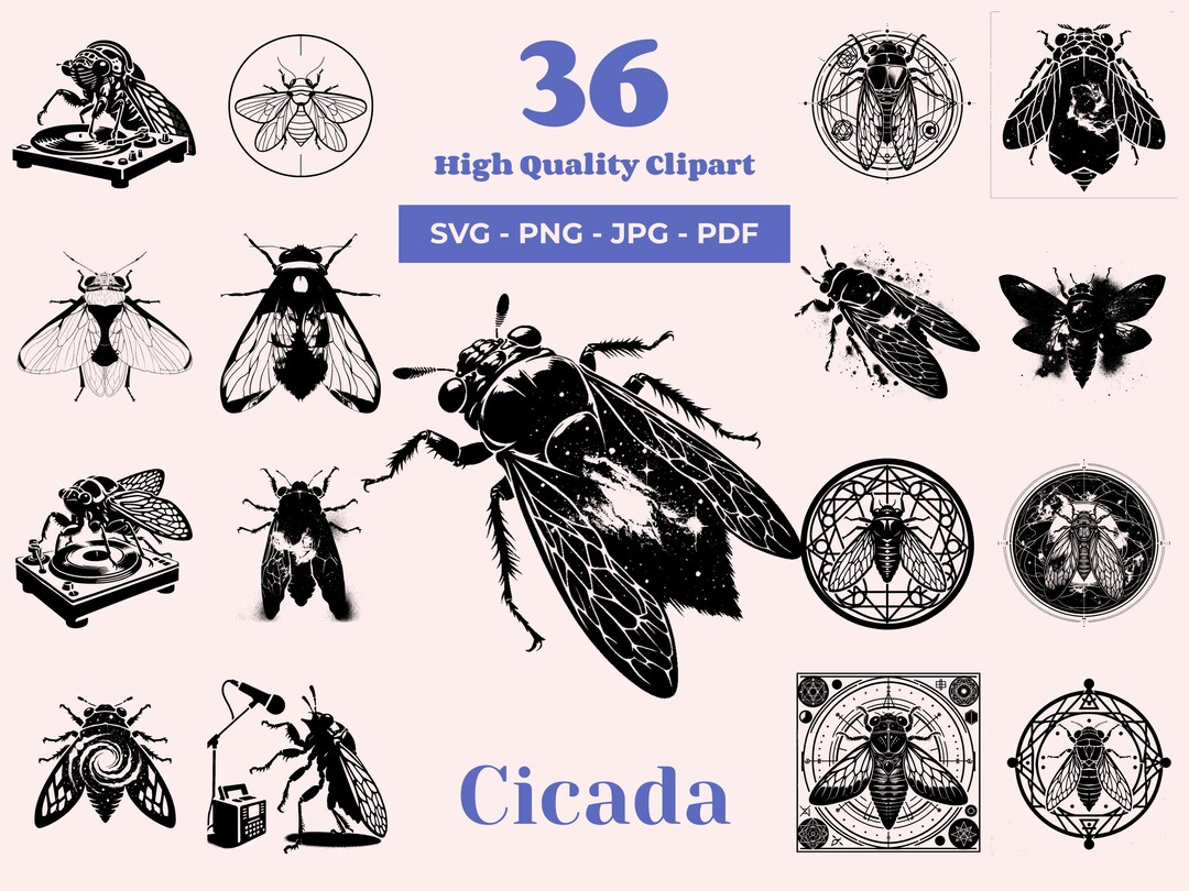 Cicada SVG Bundle: Insect Clipart, Laser Cut Files (digital Download ...