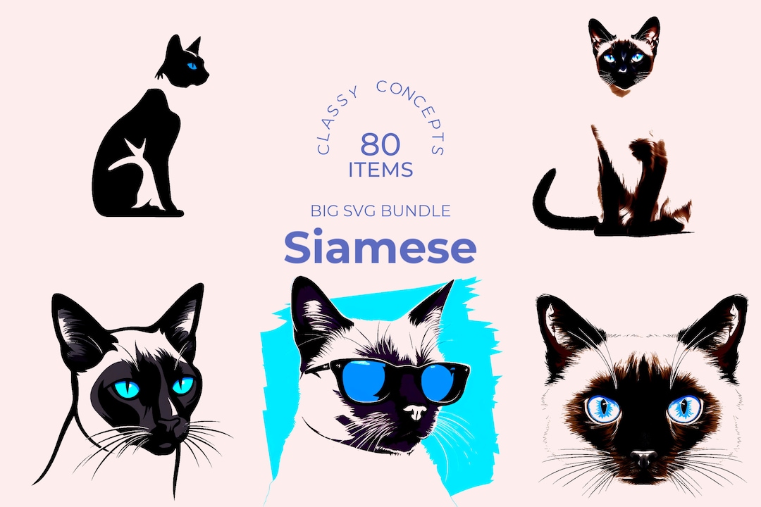 Siamese Cat SVG Bundle - 80 Unique Cut Files - Striking Color Points ...
