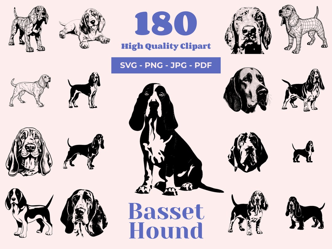 Basset Hound SVG Bundle: 180 Dog Breed Illustrations (digital Download ...