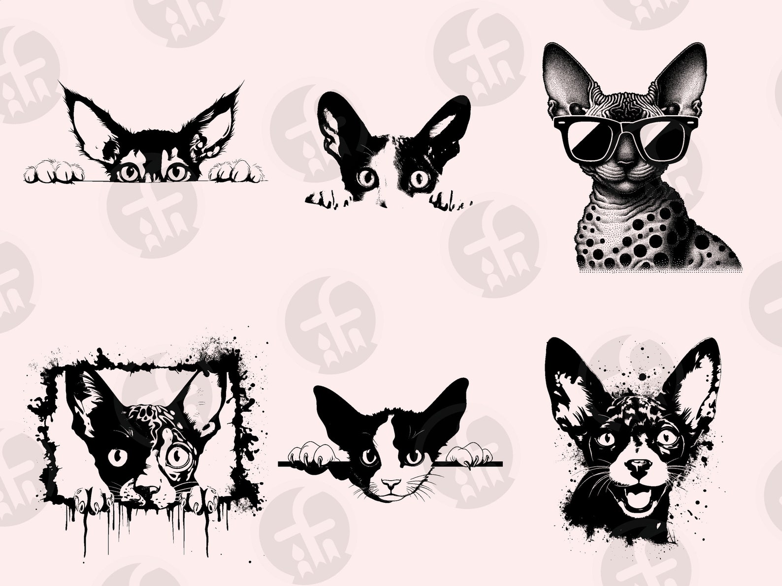 Cornish Rex Cat SVG Bundle: Quirky Feline Clipart (54 Designs) - Etsy