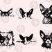 Cornish Rex Cat SVG Bundle: Quirky Feline Clipart (54 Designs) - Etsy