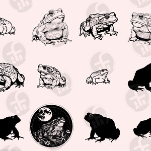 Toad SVG Clipart Bundle: Nature-inspired Crafting Designs (60 Cut Files ...