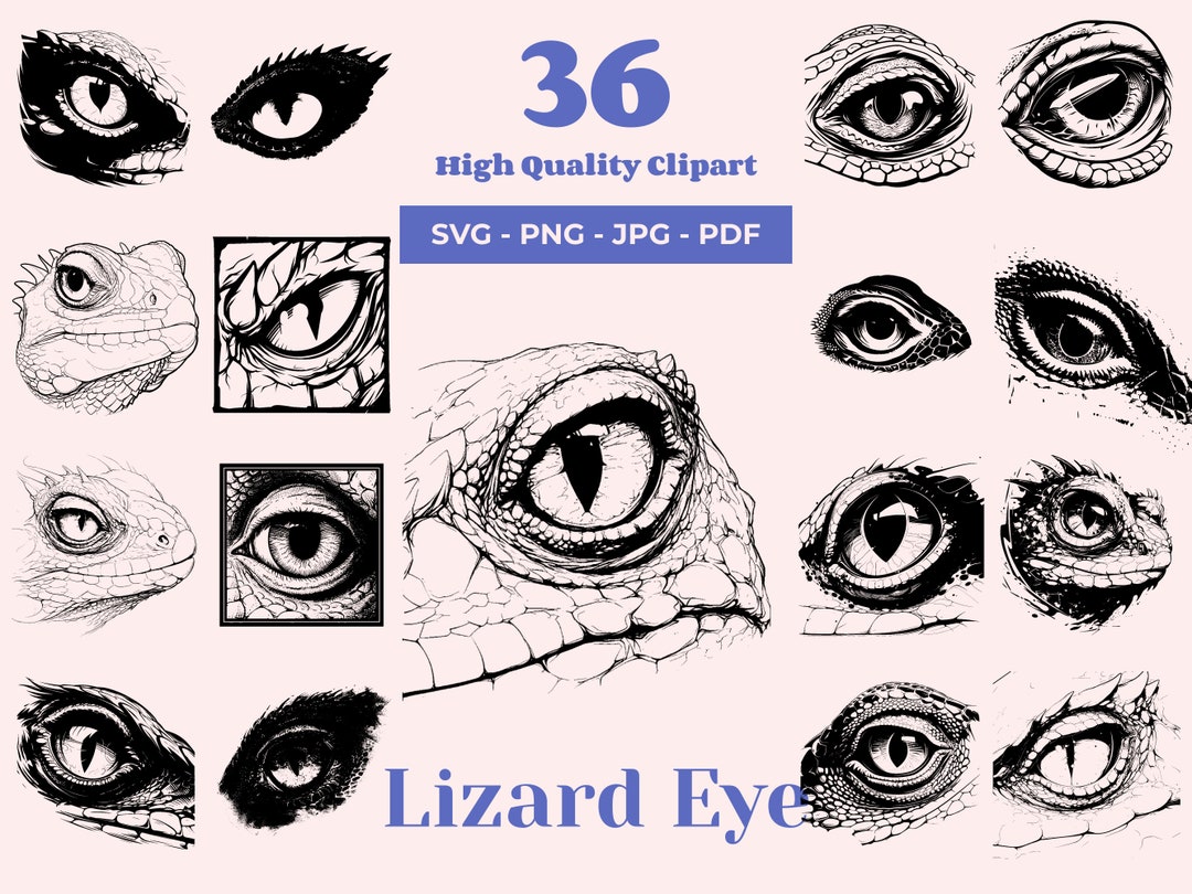 Lizard Eye SVG Bundle - 36 Designs - Reptilian Gaze Clipart - Black and ...