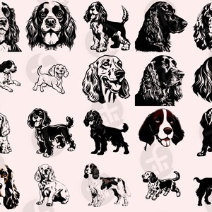 Cocker Spaniel SVG Bundle 128 Cut Files American Cocker Spaniel ...