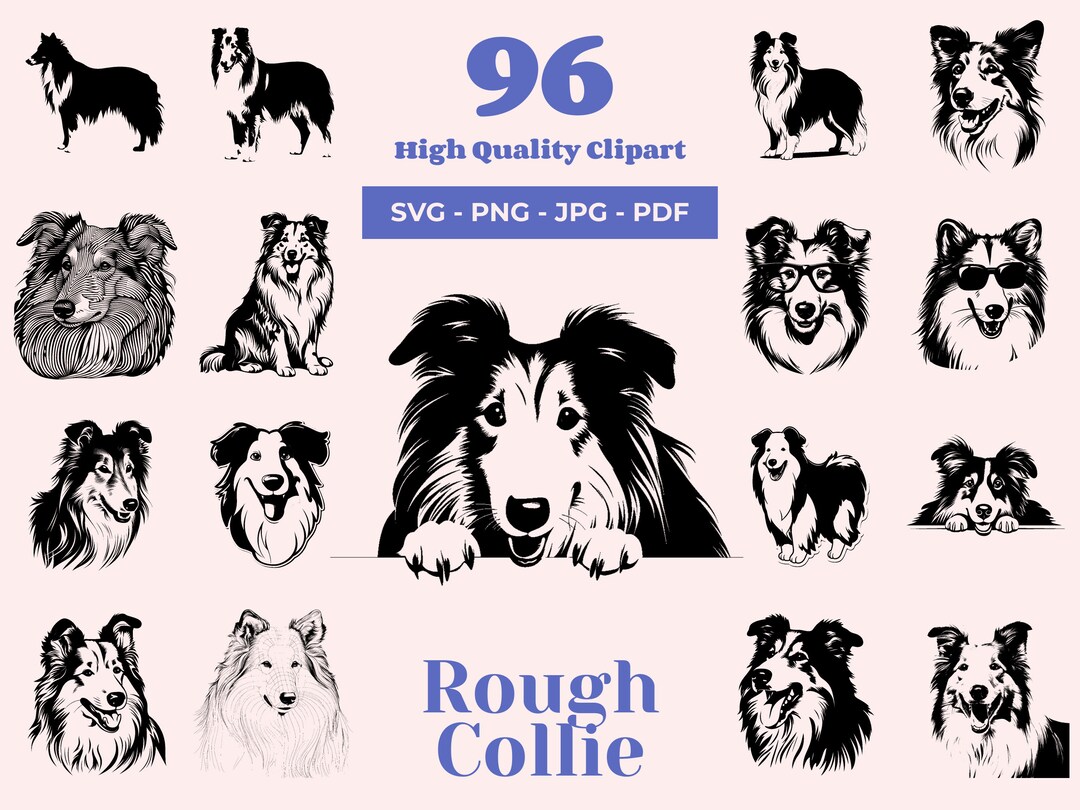Rough Collie SVG Bundle - 96 Cut Files - Herding Dog - Lassie Dog ...
