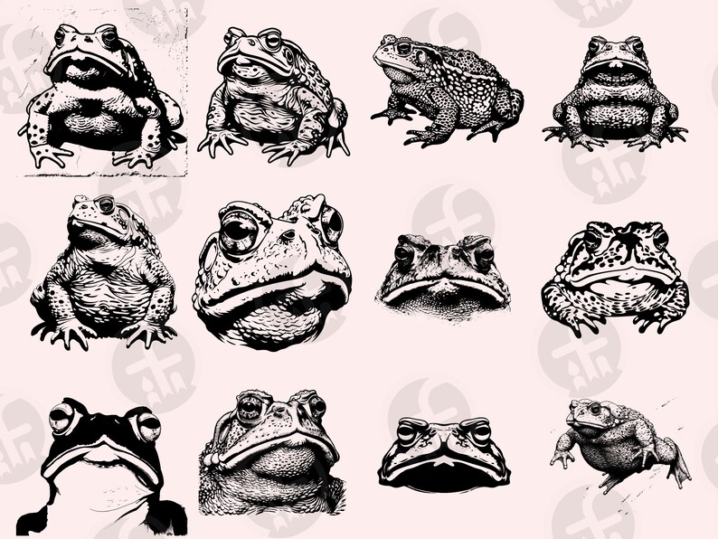 Toad SVG Clipart Bundle: Nature-inspired Crafting Designs (60 Cut Files ...