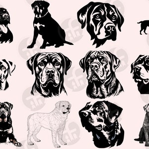 Rottweiler SVG Bundle - 80 Cut Files - Rottie Art - DIY Craft Projects ...