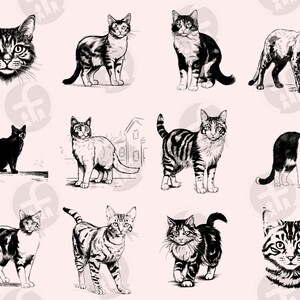 Stray Cat SVG Bundle: 96 Feral Cat Art Designs (digital Download) - Etsy
