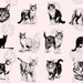 Stray Cat SVG Bundle: 96 Feral Cat Art Designs (digital Download) - Etsy