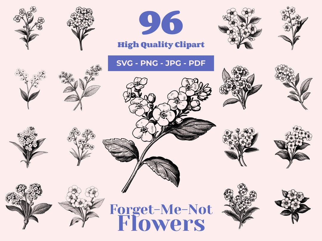 Forget-me-not Flowers SVG Bundle - 96 Designs - Botanical Clipart ...