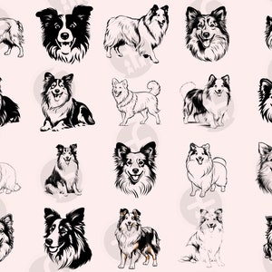 Shetland Sheepdog SVG Bundle - 167 Cut Files - Sheltie Silhouette ...