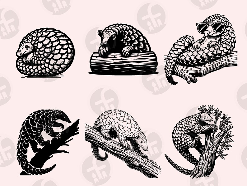Pangolin SVG Bundle: 36 Scaled Animal Designs (digital Download) - Etsy