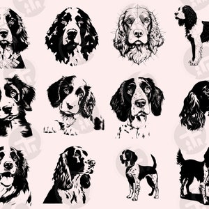 English Springer Spaniel SVG Bundle - 96 Designs - Spaniel Clipart ...
