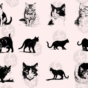 Stray Cat SVG Bundle: 96 Feral Cat Art Designs (digital Download) - Etsy