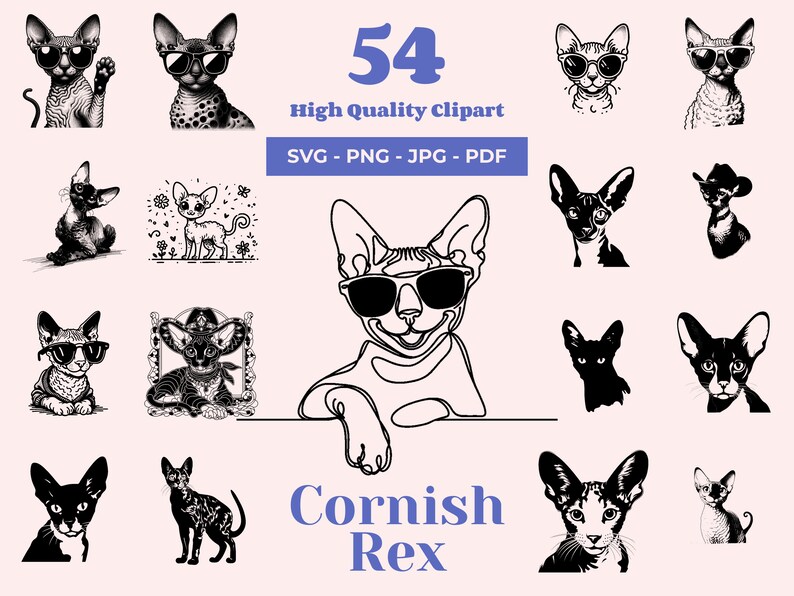 Cornish Rex Cat SVG Bundle: Quirky Feline Clipart (54 Designs) - Etsy