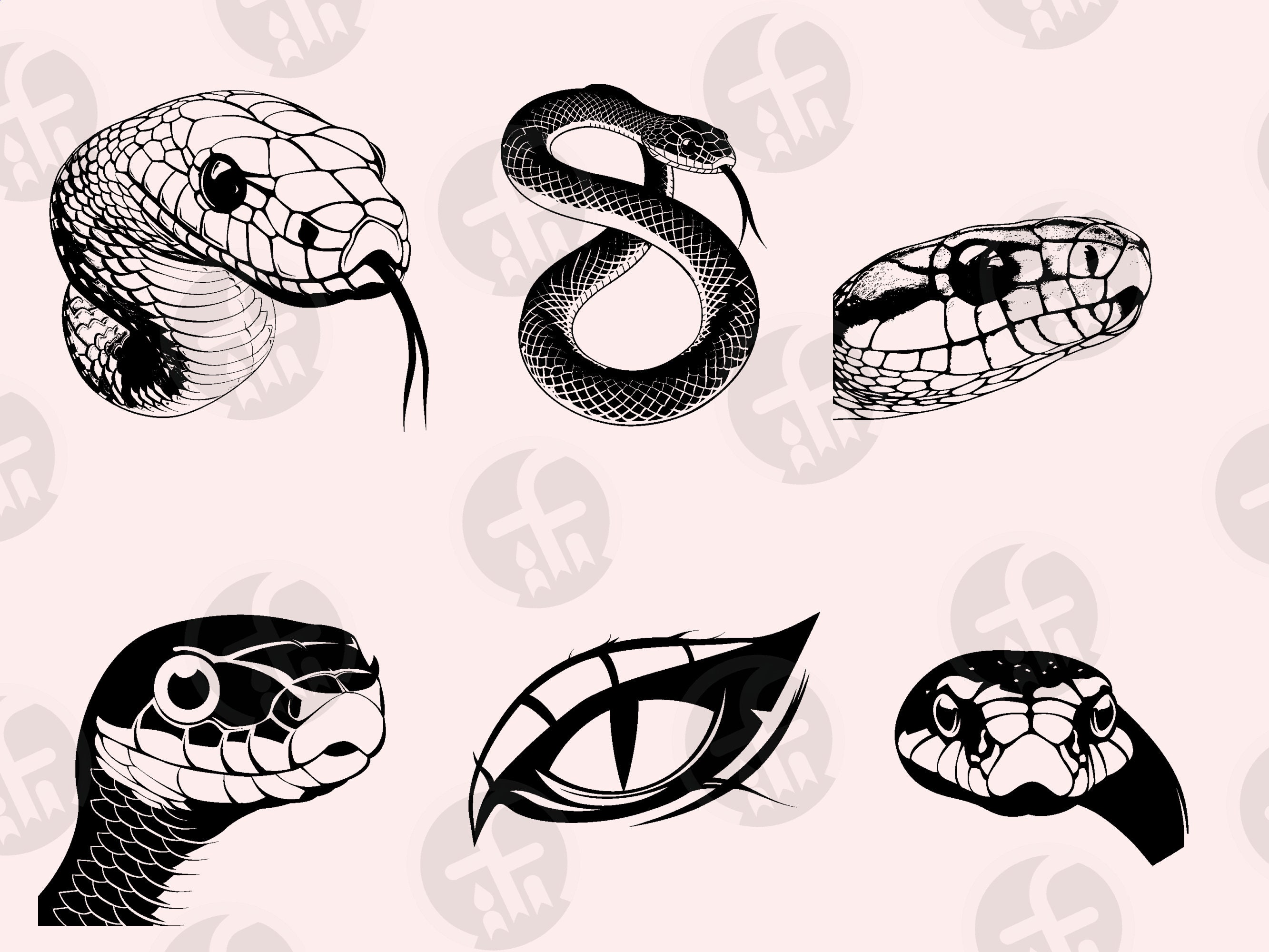 Snake Eye SVG Clipart Bundle: Reptile Gaze Designs (digital Download ...