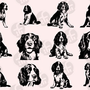 English Springer Spaniel SVG Bundle 96 Cut Files Energetic Hunting Dog ...