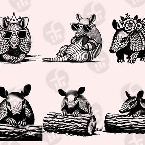 Armadillo SVG Bundle - 36 Cut Files - Designs for Laser Cutting, Cricut, and Sublimation - Texas ...
