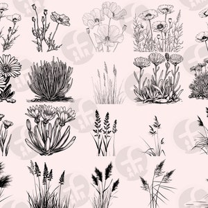 Beach Flora SVG Bundle 180 Cut Files Beach House Decor Coastal Plants ...