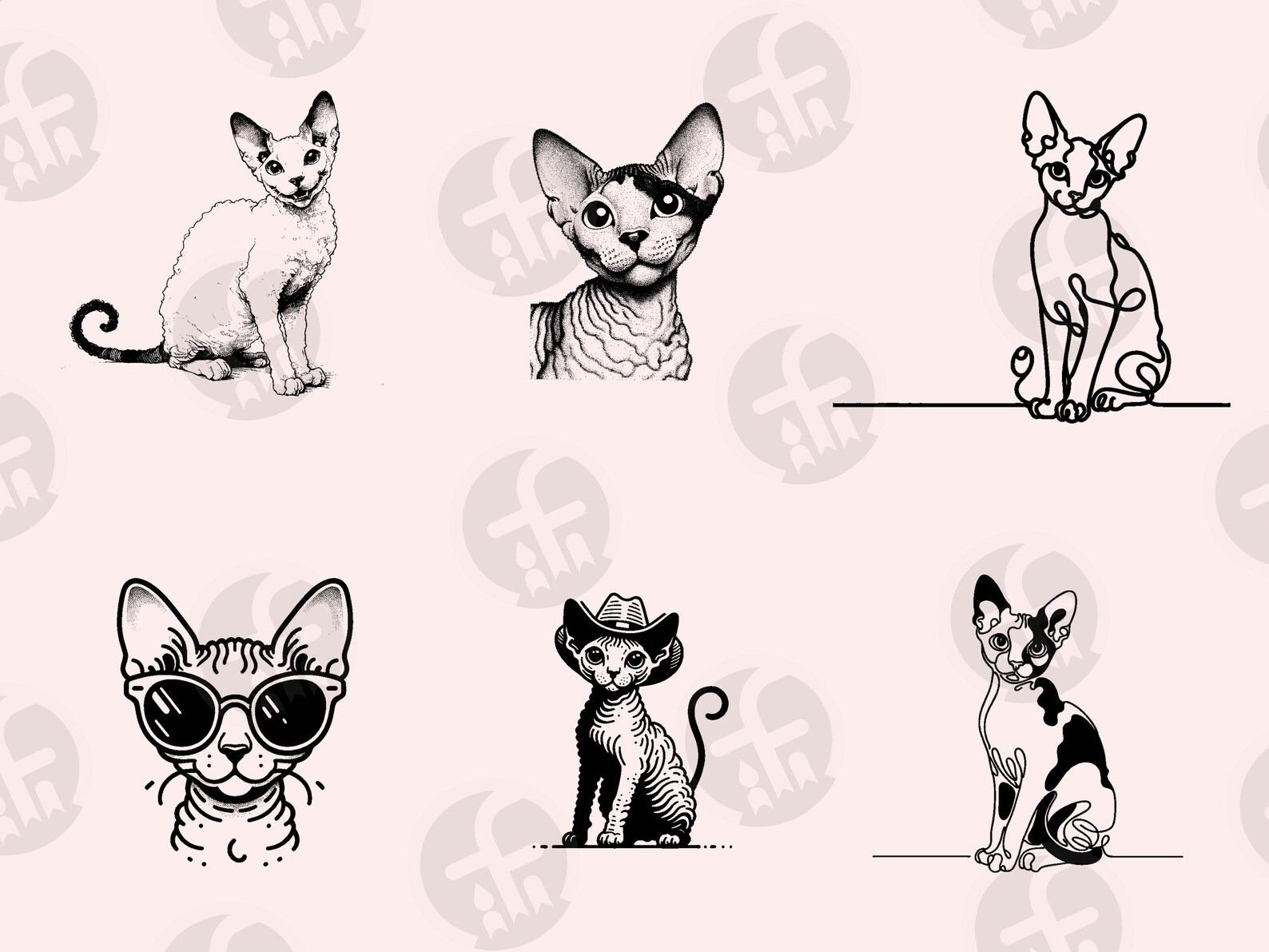 Cornish Rex Cat SVG Bundle: Quirky Feline Clipart (54 Designs) - Etsy