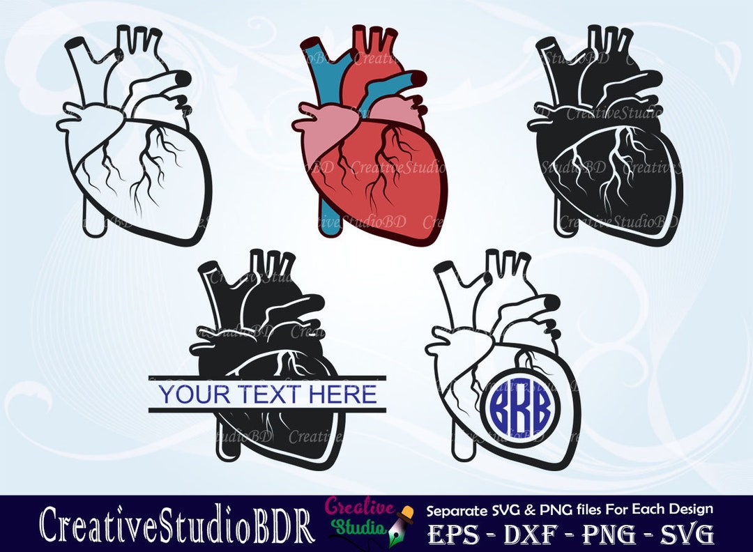 Realistic Heart SVG Bundle, Anatomical Heart Svg, Cardiology Svg, Heart ...