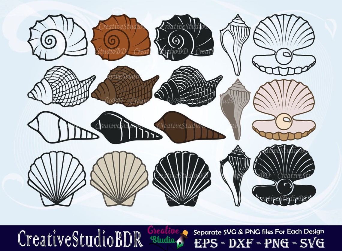Seashell SVG Bundle Cut File, Shellfish Svg, Beach Shell Svg, Ocean ...