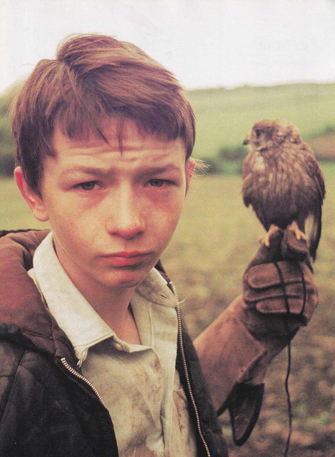 Original Vintage Mini Poster / Book Clipping & Card Frame - Kes (ken ...