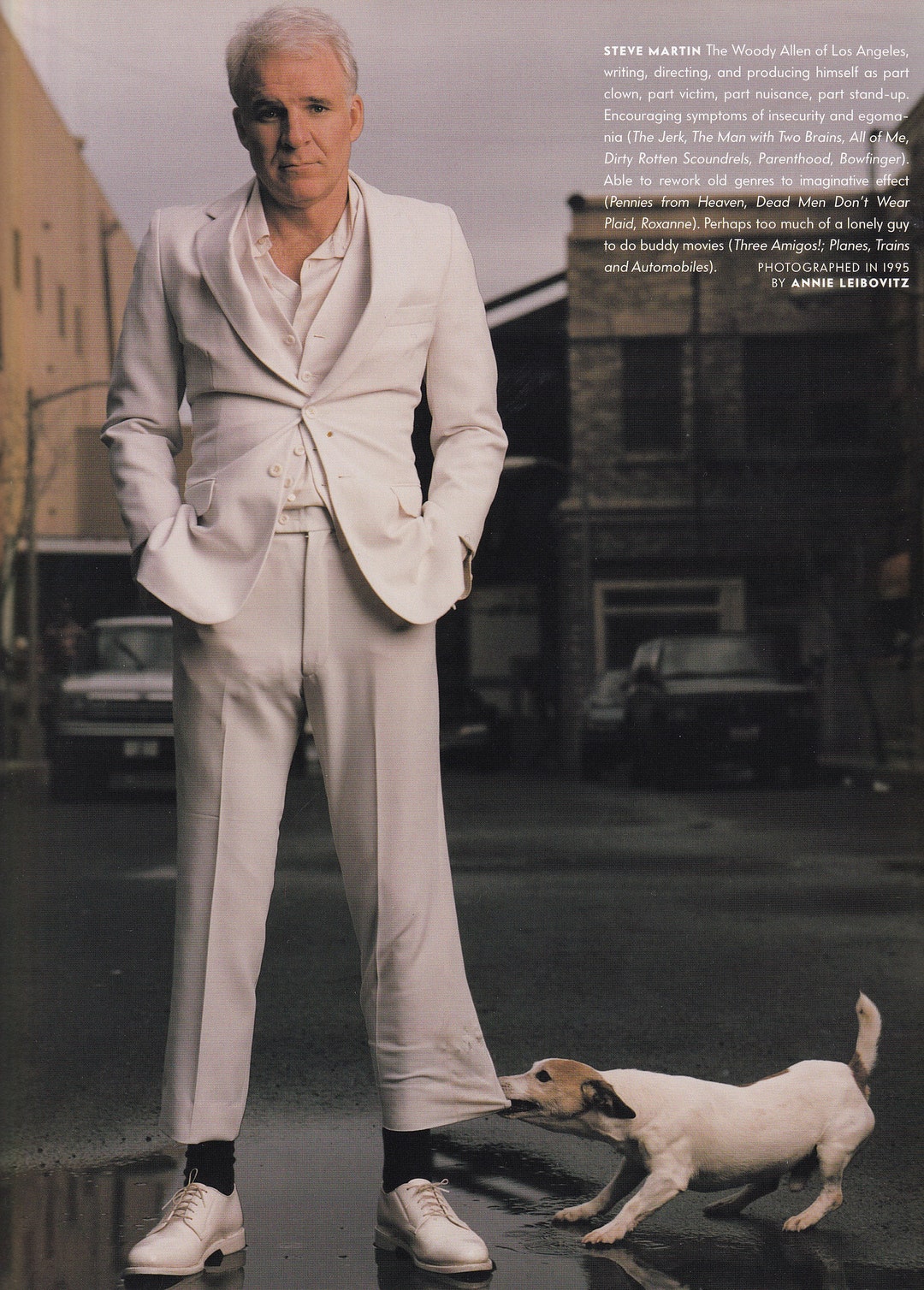 Original Vintage Mini Poster / Book Clipping - Steve Martin (1995 Photo ...