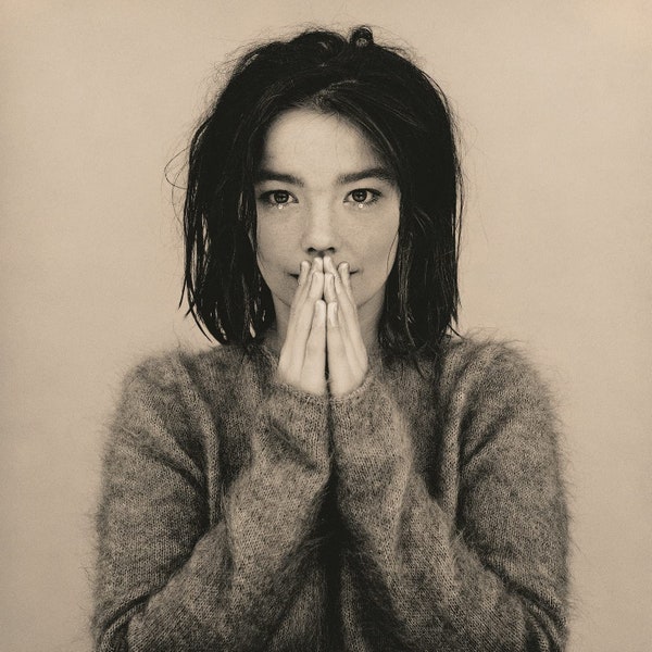Bjork Print - Etsy