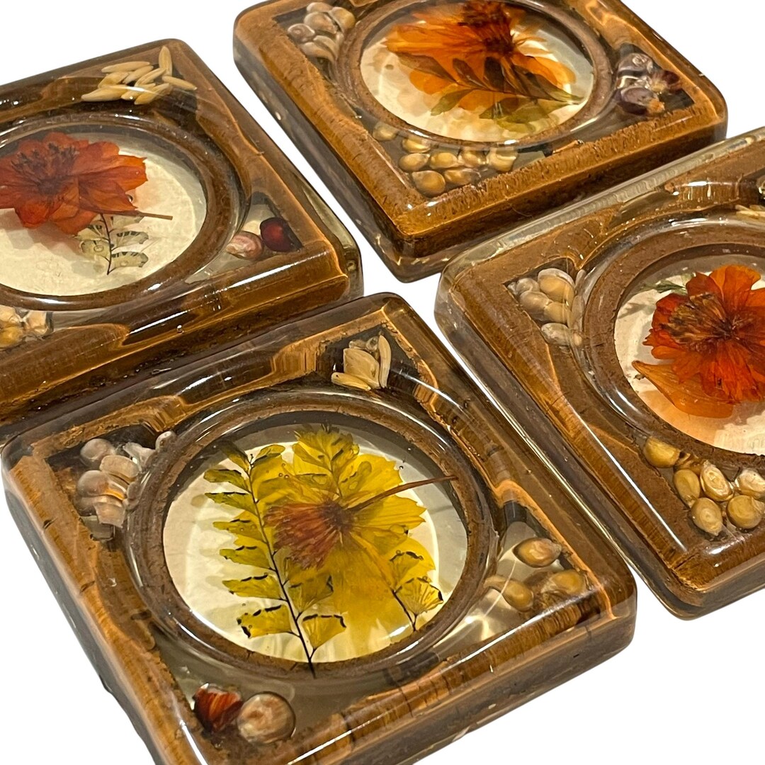 Vintage 1960s Lucite Coasters Set 4 Dried Seeds, Wheat, Corn and ...