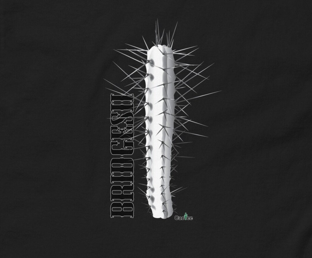 Trichocereus Bridgesii - Echinopsis Lageniformis - the Achuma Cactus - Etsy