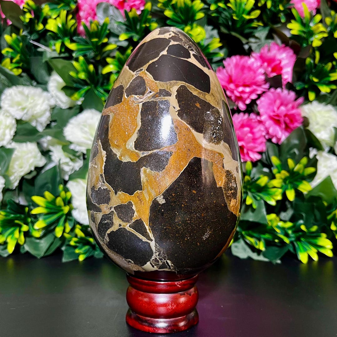Fossil Dragon Egg – Natural Fossilized Stone Egg, Ancient Crystal ...