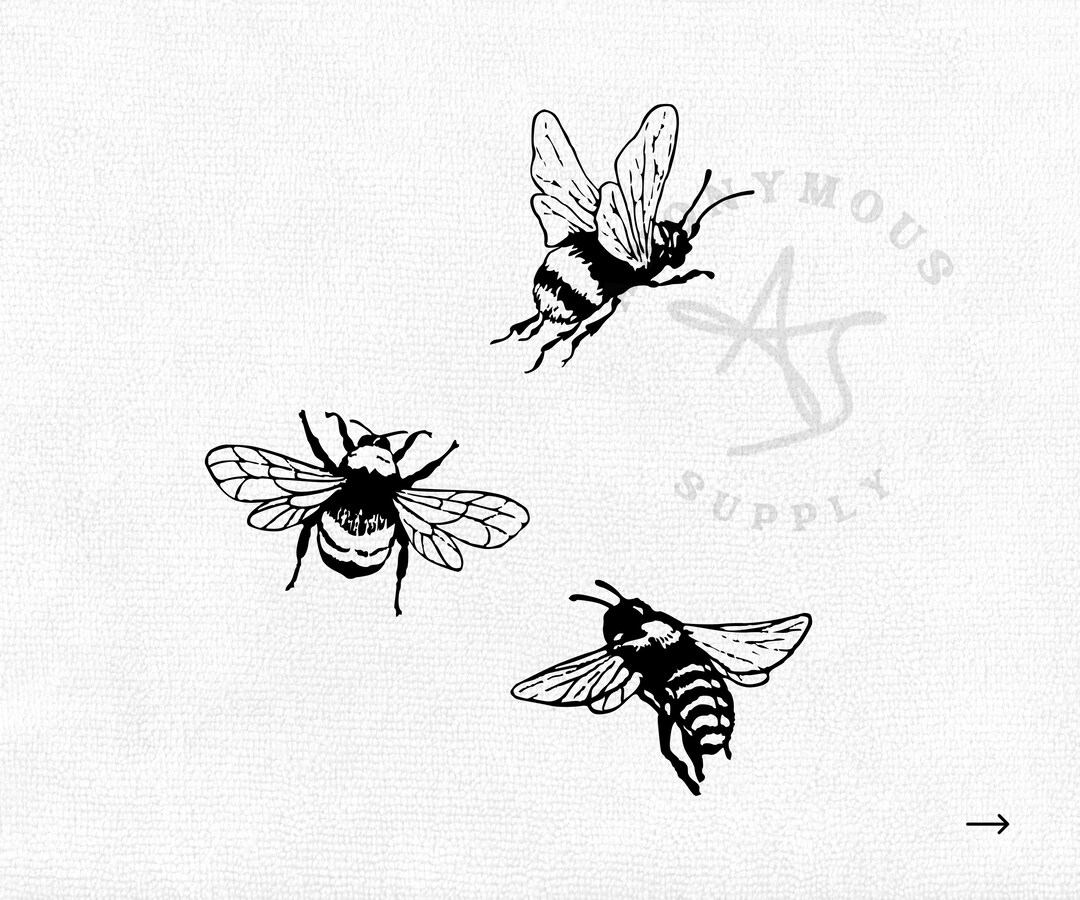 Bee SVG Honey Bee Svg Bee Clipart Bee Svg File Bee Png - Etsy