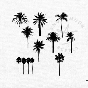 Palm Tree SVG Bundle Palm Tree Svg Tropical Svg Palm Tree - Etsy
