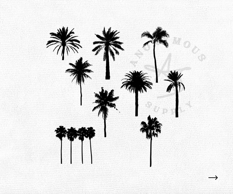 Palm Tree SVG Bundle Palm Tree Svg Tropical Svg Palm Tree - Etsy