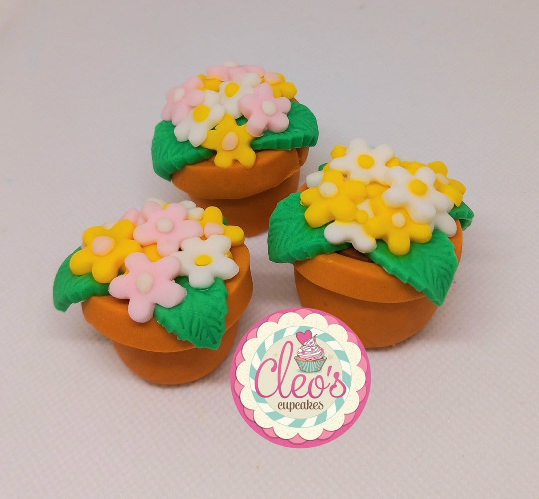 Flower Pots X3 Fondant Edible Cake Topper - Etsy