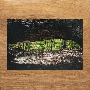 Nature Forest View, Tree Trunk Frame, Forest Landscape Art, Woodland ...