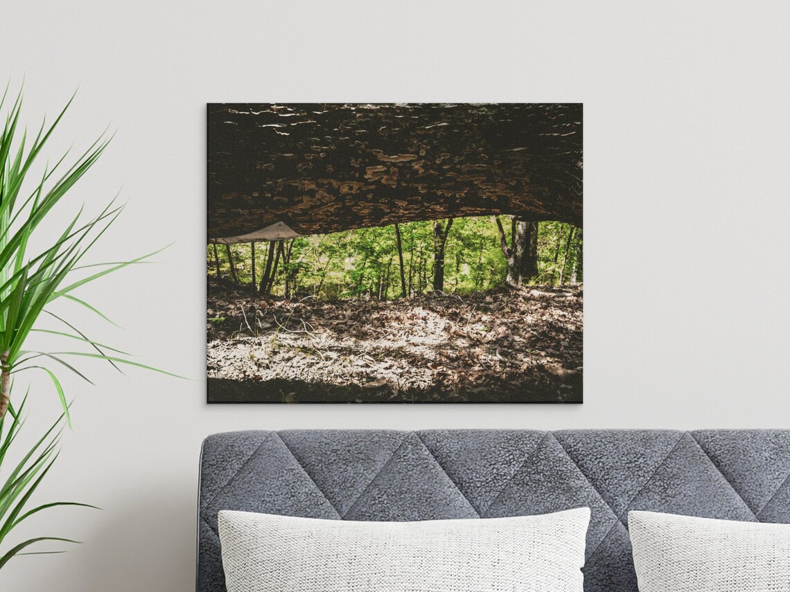 Nature Forest View, Tree Trunk Frame, Forest Landscape Art, Woodland ...
