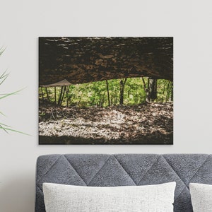Nature Forest View, Tree Trunk Frame, Forest Landscape Art, Woodland ...