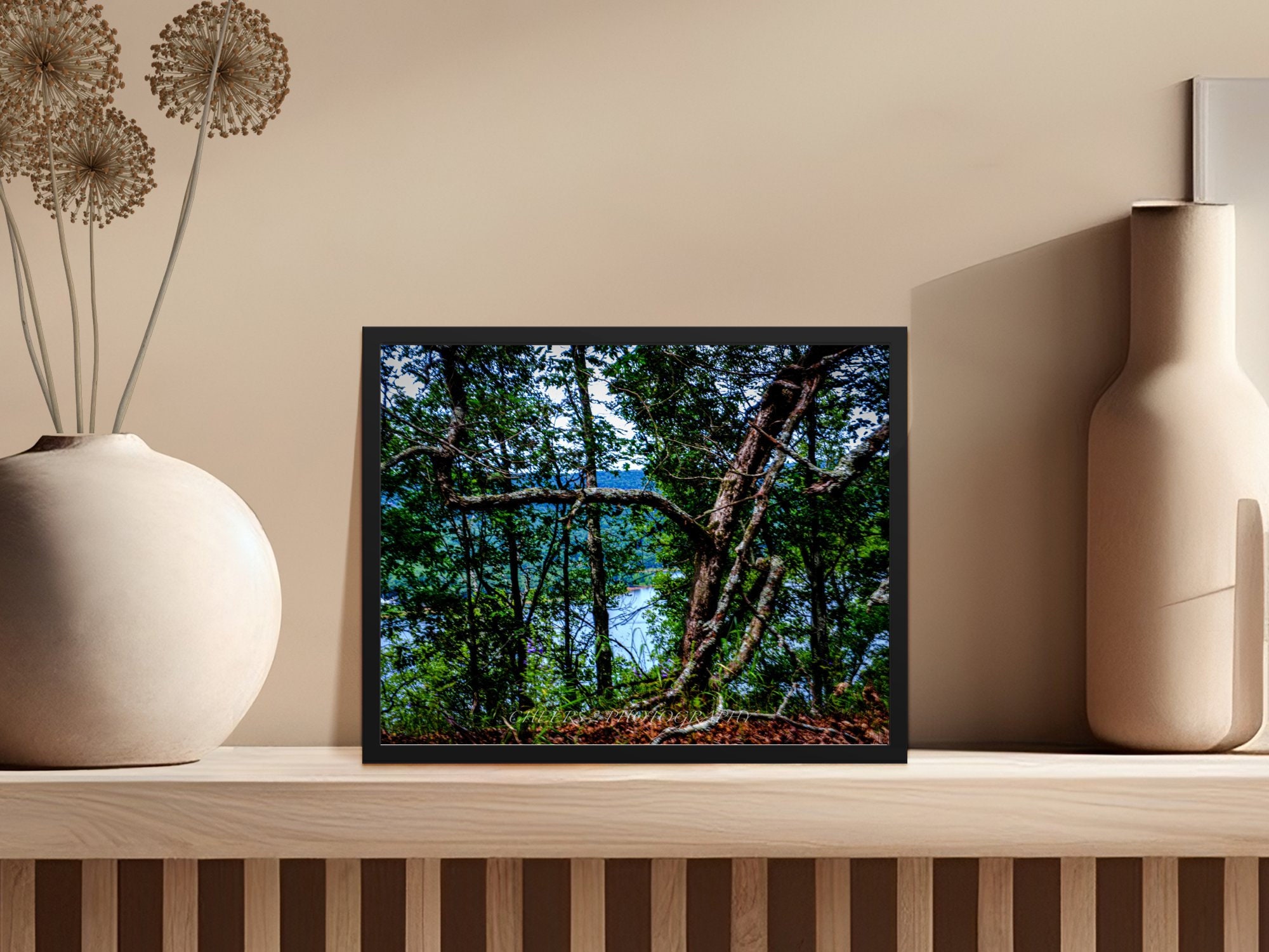 Scenic Forest Landscape Photography, Digital Download Wall Art, Nature ...