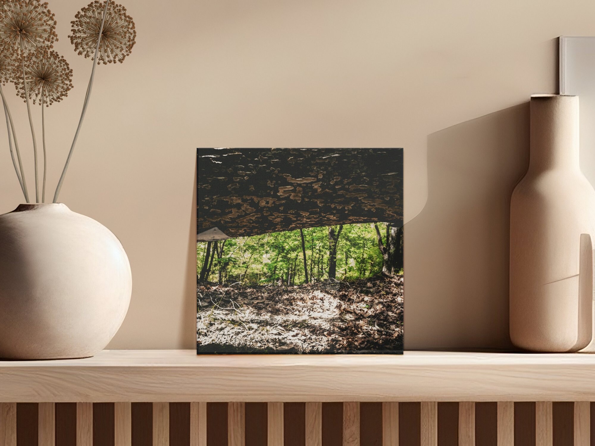Nature Forest View, Tree Trunk Frame, Forest Landscape Art, Woodland ...