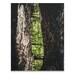 Nature Forest View, Tree Trunk Frame, Forest Landscape Art, Woodland ...