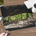 Nature Forest View, Tree Trunk Frame, Forest Landscape Art, Woodland ...