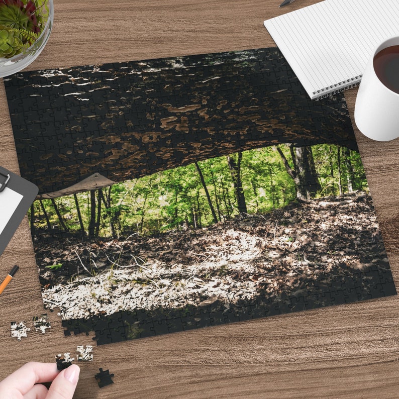 Nature Forest View, Tree Trunk Frame, Forest Landscape Art, Woodland ...