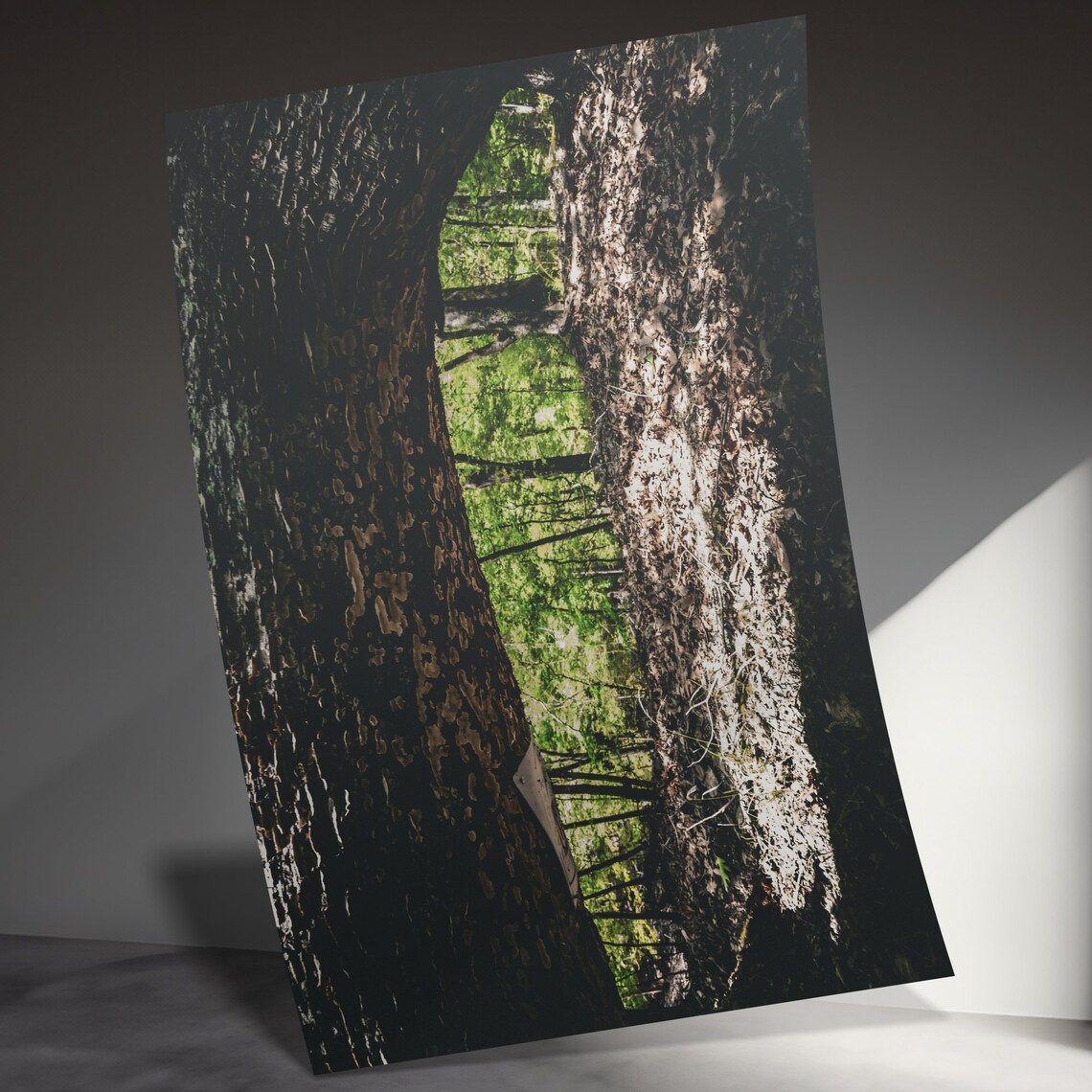 Nature Forest View, Tree Trunk Frame, Forest Landscape Art, Woodland ...