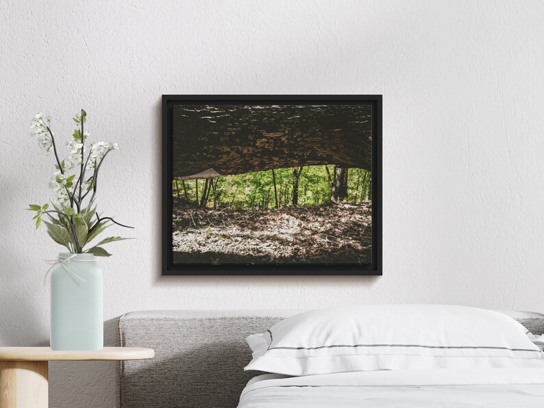 Nature Forest View, Tree Trunk Frame, Forest Landscape Art, Woodland ...