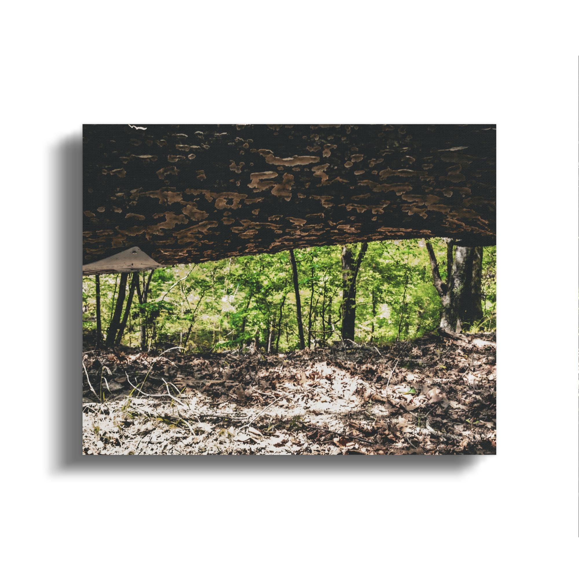 Nature Forest View, Tree Trunk Frame, Forest Landscape Art, Woodland ...