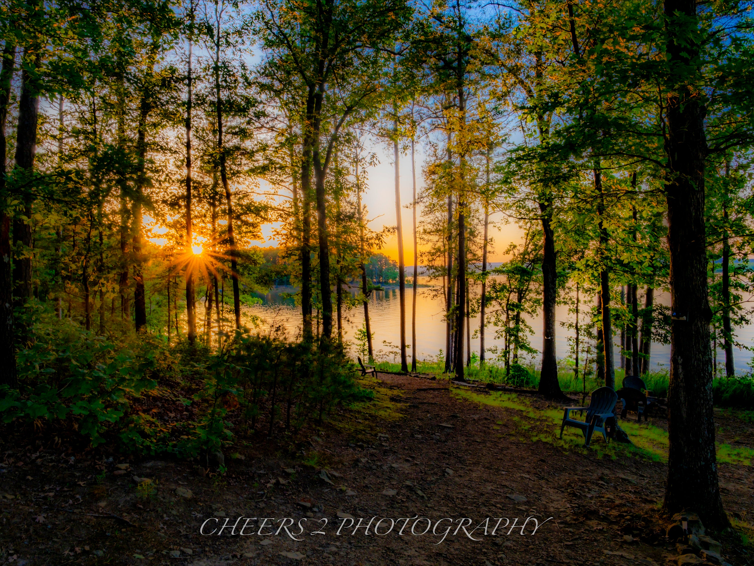 Nature Sunset Digital Wall Art, Forest Lake Sunrise Photo, Scenic ...