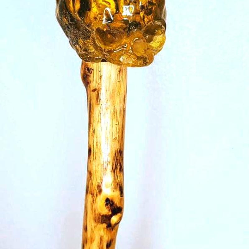 Skull Walking Cane - Etsy